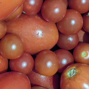 Enduring Principles, Evolving Markets: The Next Chapter for Akre Focus ...