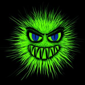 Enduring Principles, Evolving Markets: The Next Chapter for Akre Focus ...